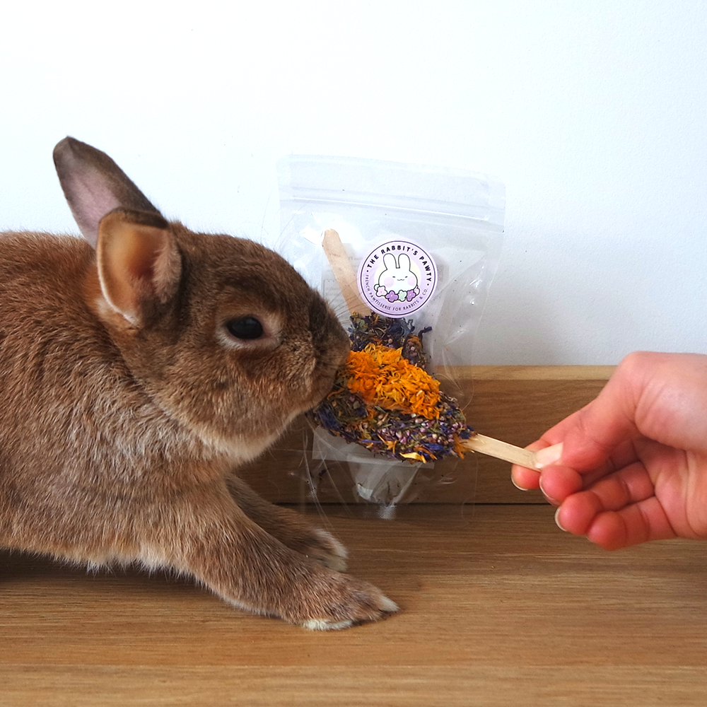 Tous les produits de la boutique - Le meilleur pour mon lapin