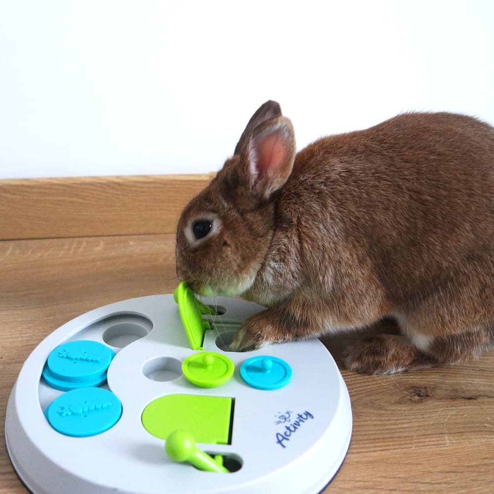 Set de jeu intelligence lapin - Slide & Fun – Le meilleur pour mon lapin